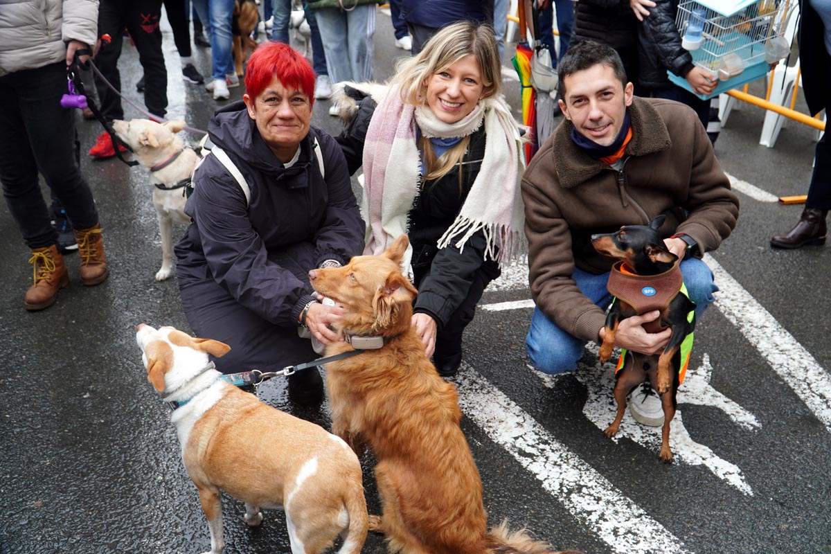 La bendición de animales de San Antonio Abad en Valencia ...